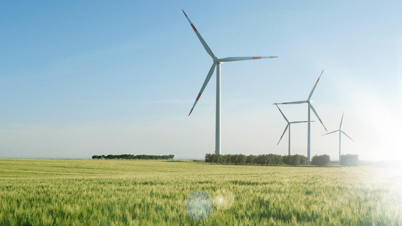 Construction Site Manager - Romania | Alerion Clean Power Group